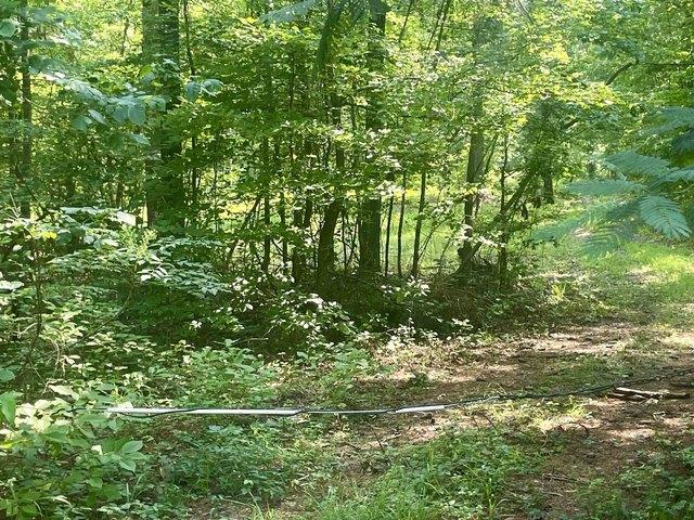 11810 County Road 9, West Blocton, AL 35184