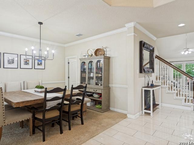 11819 Newton Trl