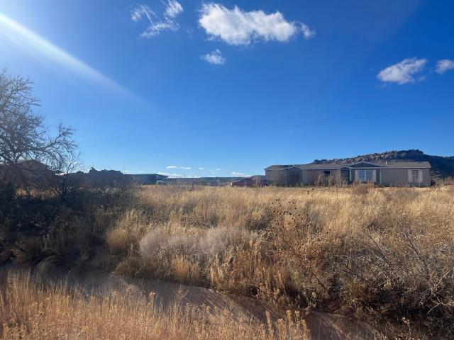 1181 Paisano Road
