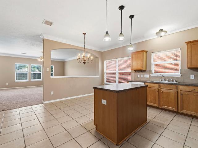 11822 Green Willow Falls Drive