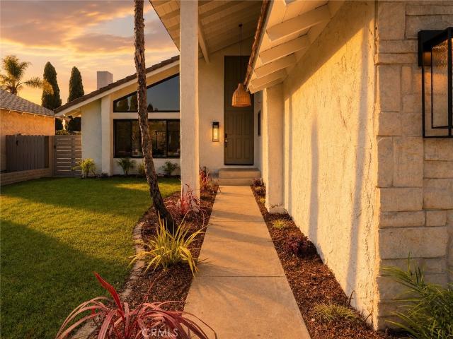 11824 Purslane