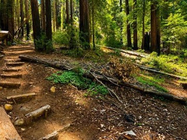 11837 Clear Creek Rd, Brookdale, CA 95007