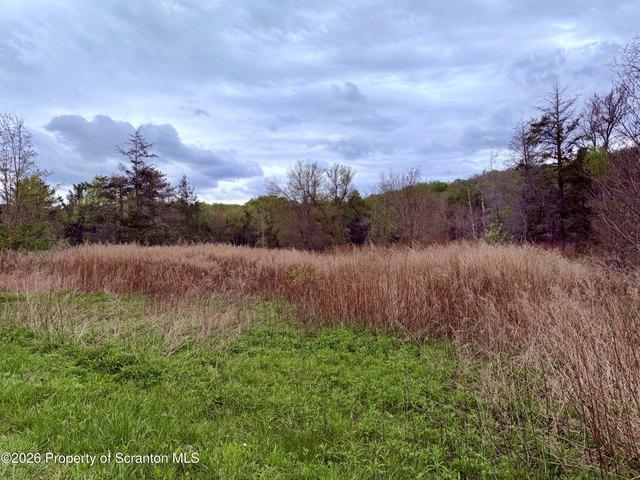 1183 Heart Lake Rd, Scott Township, PA 18433