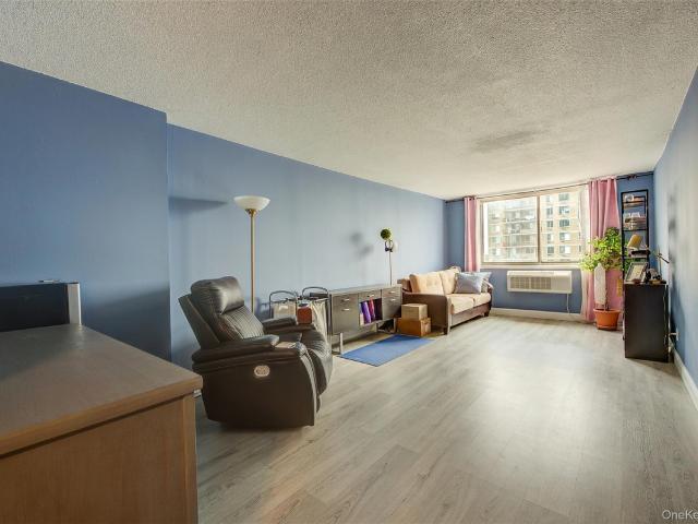 118 17 Union Turnpike 11J
