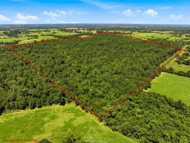 118.25 Acres County Rd # 278C, Anderson, TX 77830