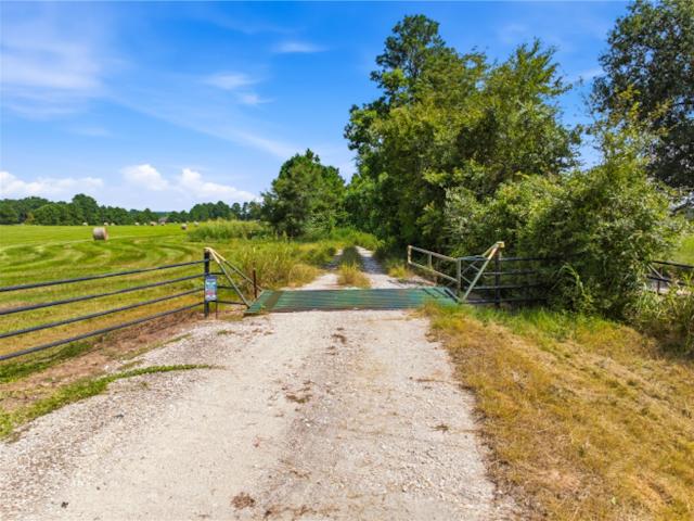 118.25 Acres CR 278C