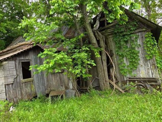 118 County Road 5239, Oark, AR 72852