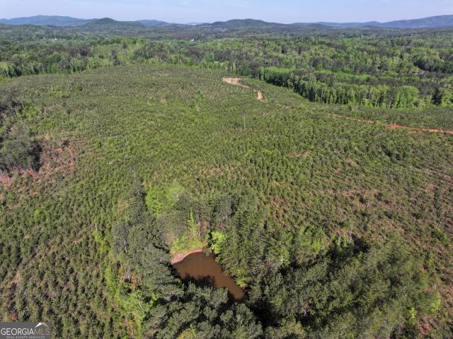 118 +/ Acres on Lumpkin Rd