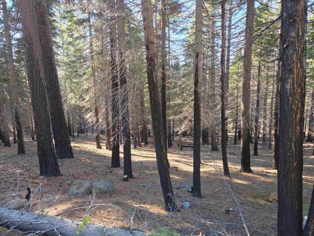 118 Goose Bay Vw Trl, Lake Almanor West, CA 96020 | MLS #20251