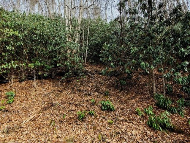 118 Deergrass Road