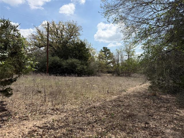 118 Edmonson Ranch Rd, McDade, TX 78650 | MLS #4650