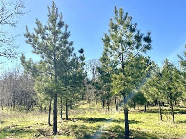 118 Hidden Pines Loop