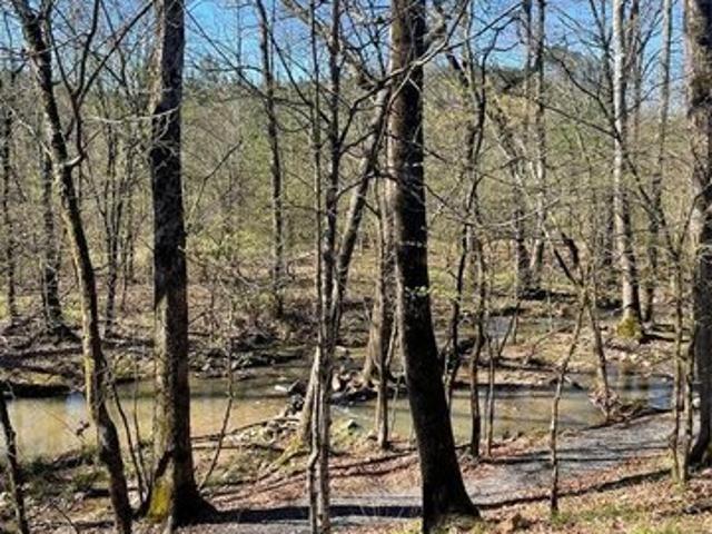 118 Hidden Pines Loop, Broken Bow, OK 74728