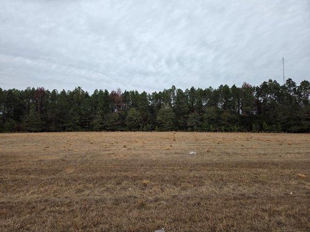 118 Joe Wright Drive/New Harvest Rd Lot A, Cordele, GA 31015