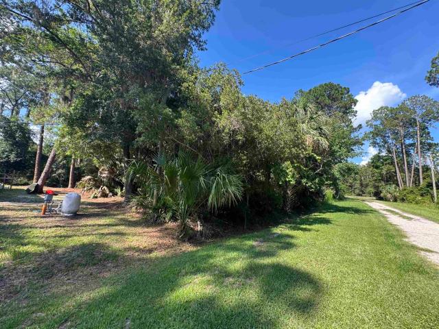 118 July Ave, Georgetown, FL 32139 | MLS #263196