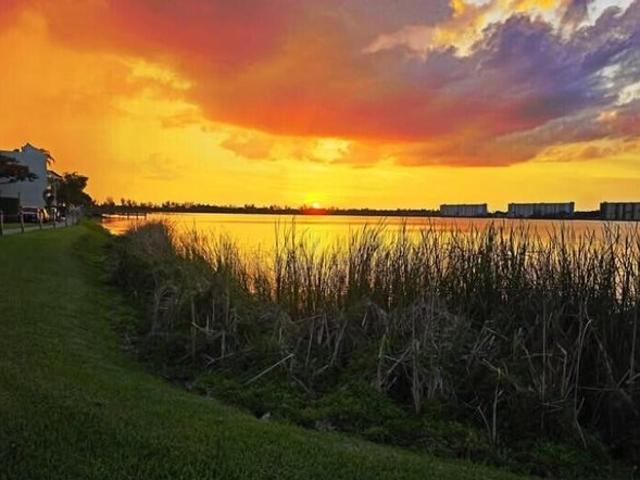 118 Lake Emerald Dr Apt 403, Oakland Park, FL 33309