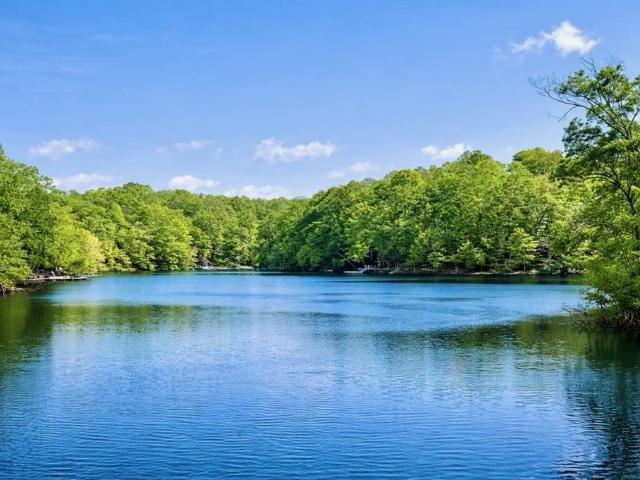 118 Lakeview Cir, Waleska, GA 30183 | MLS #7674 | Compass