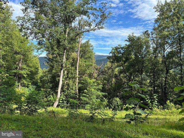 118 Lexington Ct, Stanardsville, VA 22973