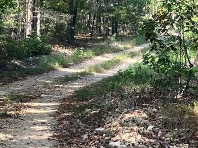 118 Madison County Road 410, Fredericktown, MO 63645