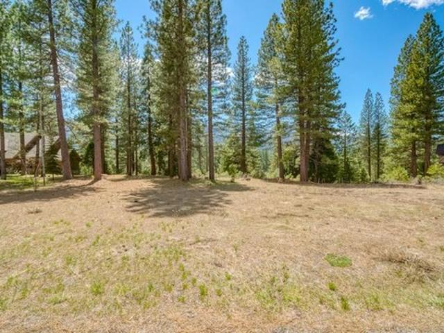118 Saddle Ridge Rd Lot 9, Clio, CA 96106