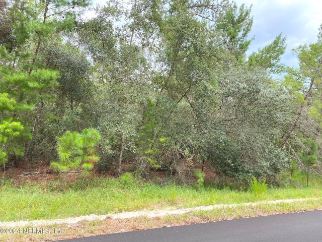 118 Spanish Trail, Georgetown, FL 32139 | MLS #2032