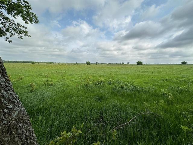 118 St Greenville, TX 75401 | MLS #21220