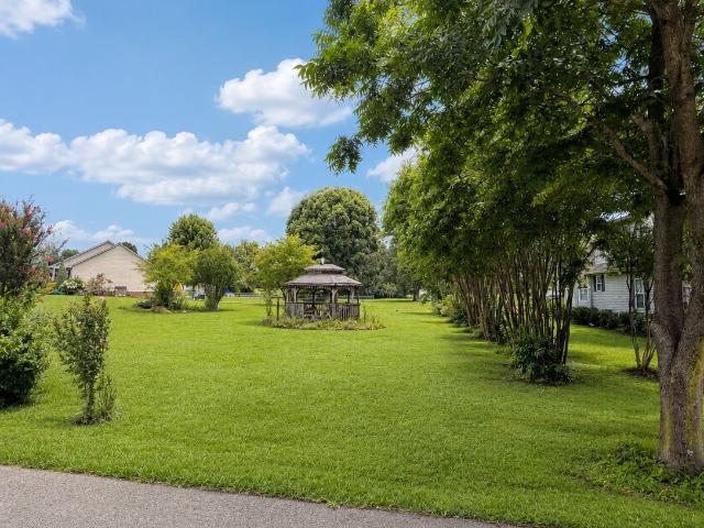 118 Steeplechase Dr