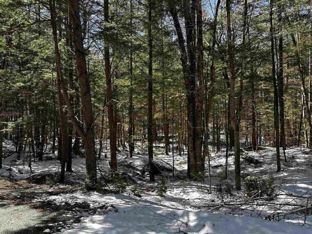 118 Pauls Pl Lot 118, Enfield, NH 03748