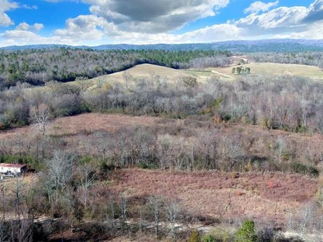 118 Peaceful Place Rd, Caddo Gap, AR 71935