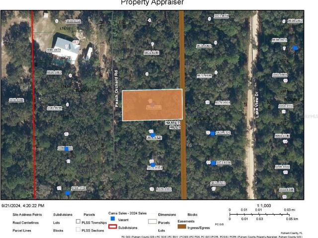 118 Peach Orchard Rd, Pomona Park, FL 32181 | MLS #FC304079