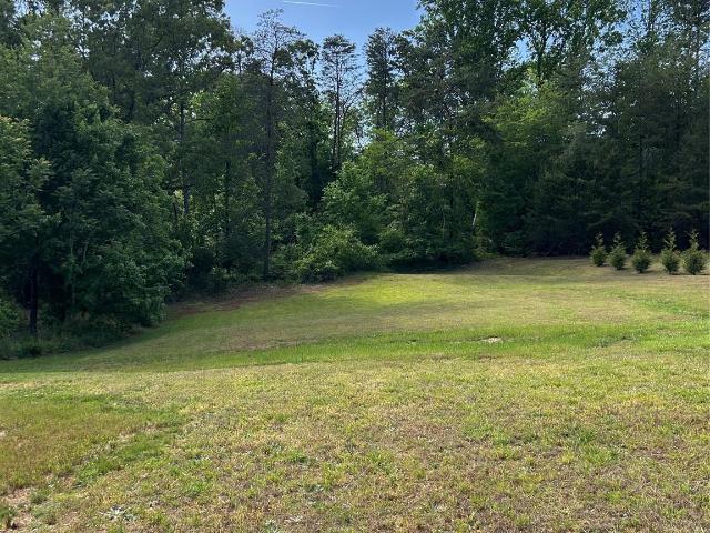 118 Perennial Gardens Lane