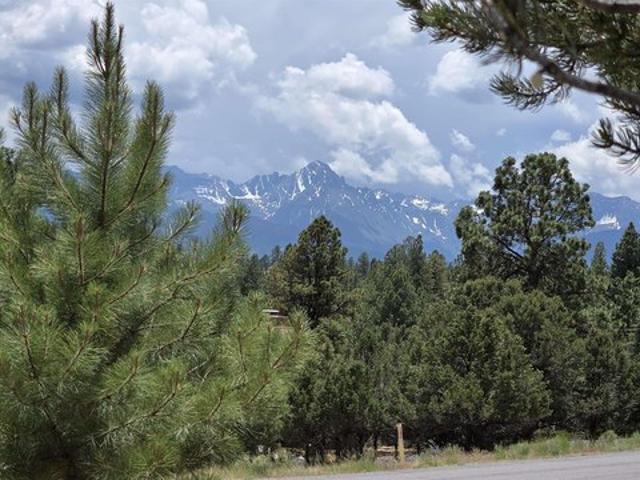 118 Pika Ln, Ridgway, CO 81432