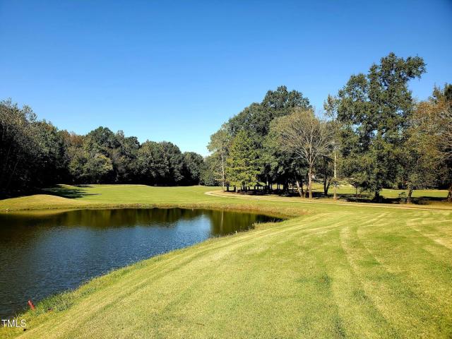 118 Rustler Rd, Louisburg, NC 27549 | MLS #10118