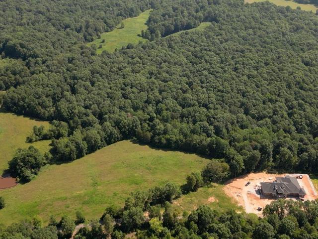 1194 Bailey Hollow Rd