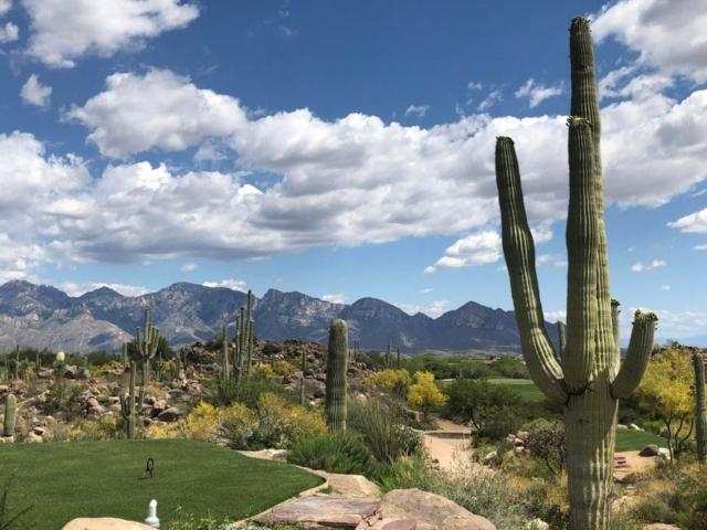 1194 W Tortolita Mountain Circle, Oro Valley, US, AZ