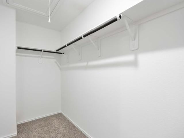 11951 Mulberry Vine Ln, Houston, TX 77048