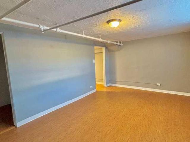 1195 Birch Street 1 Bedroom Apartment for Rent at N Birch St, Denver, CO 80220 Hale