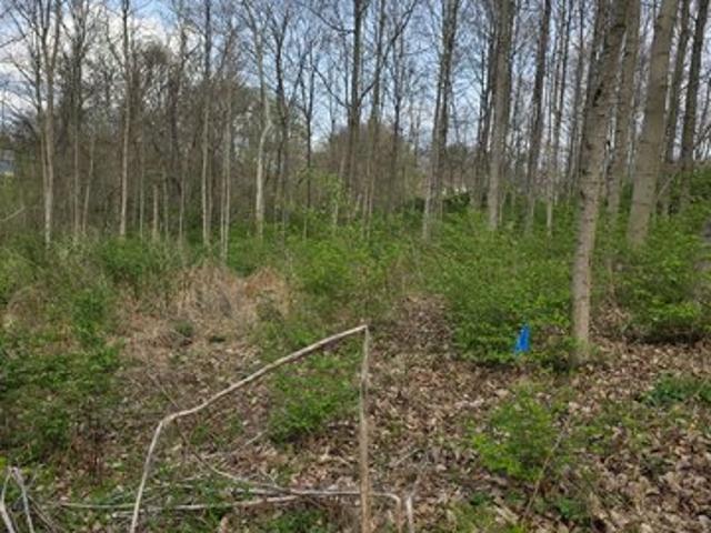 11965 Stone Mill Rd, Colerain Township, OH 45251