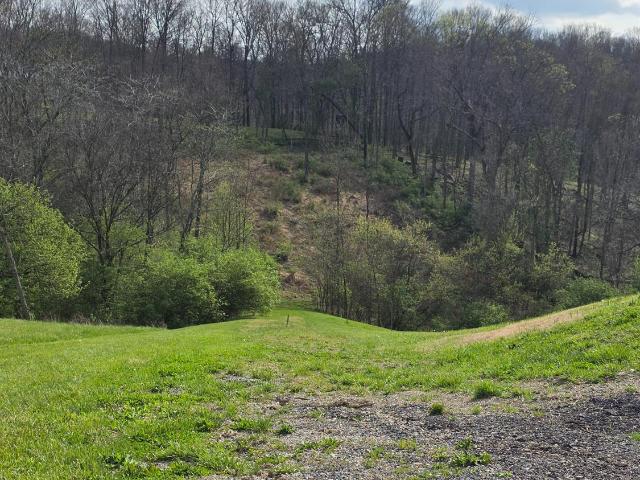 11965 Stone Mill Road