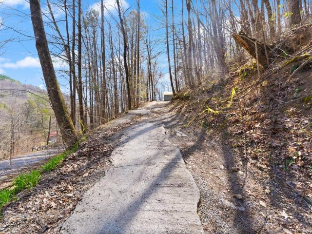 1197 Beans Fork Road