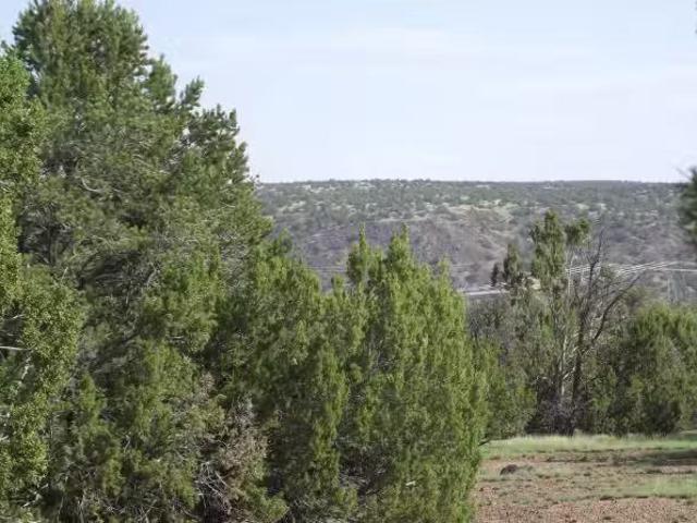 1197 E Indian Blanket Rd #523, Williams, AZ 86046 MLS 198089