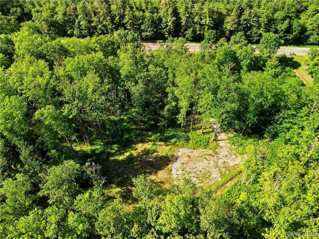11980 Strykersville Road