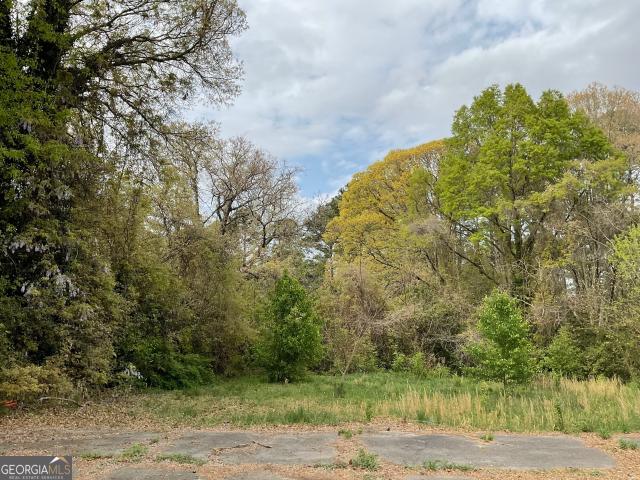 1198 Highway 138 SW
