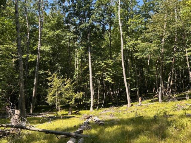 11992 Cheyenne Wells Trail