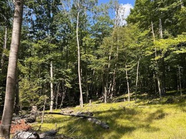 11992 Cheyenne Wells Trl, Canadian Lakes, MI 49346