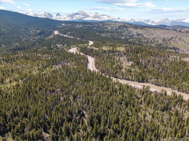 1199 Brainard Lake Road