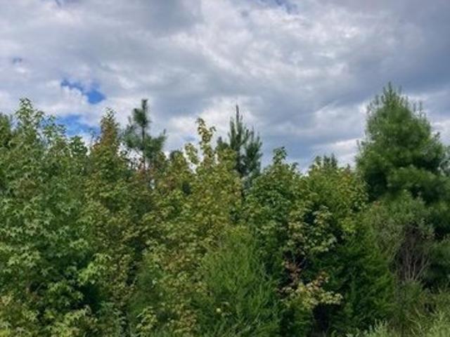 1199 Kelly Rd, Kinsale, VA 22488