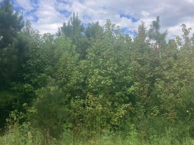 1199 Kelly Road