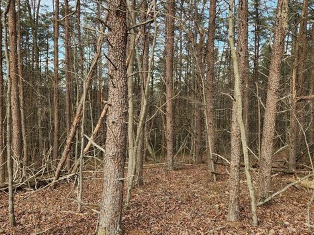 11901 Price Rd NE, Little Orleans, MD 21766