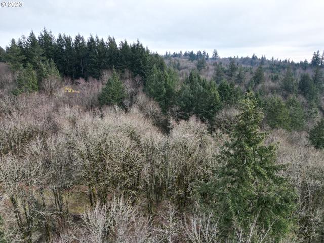 11902 NW Tualatin Ave, Portland, OR 97229 | MLS #23512